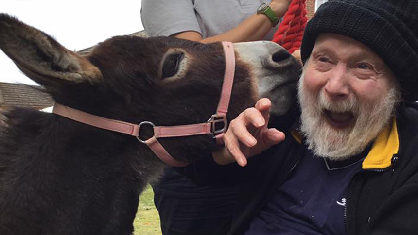 Miniature donkeys offer joy and engagement for care home residents who ...